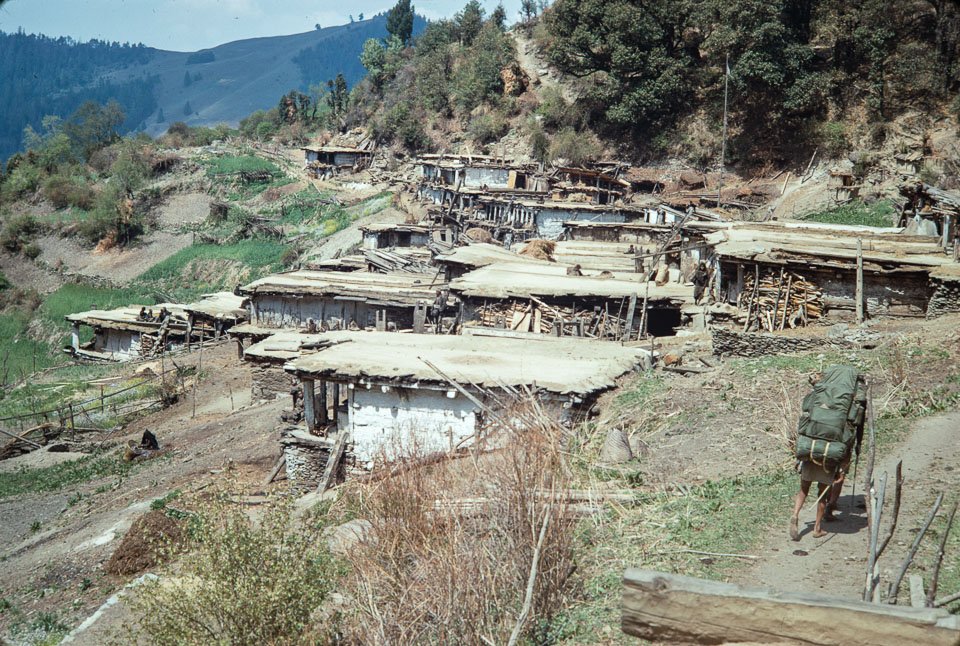 AF_CS00314.jpg - RoundsImaging Services