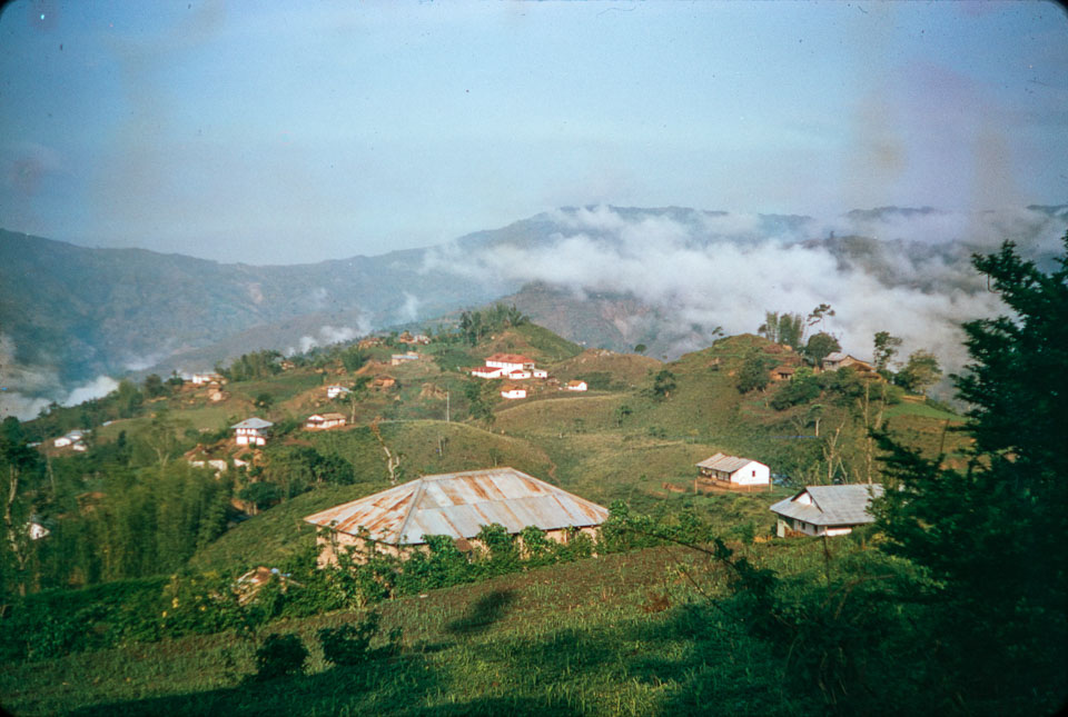 Dave Hohl - RoundsImaging Services