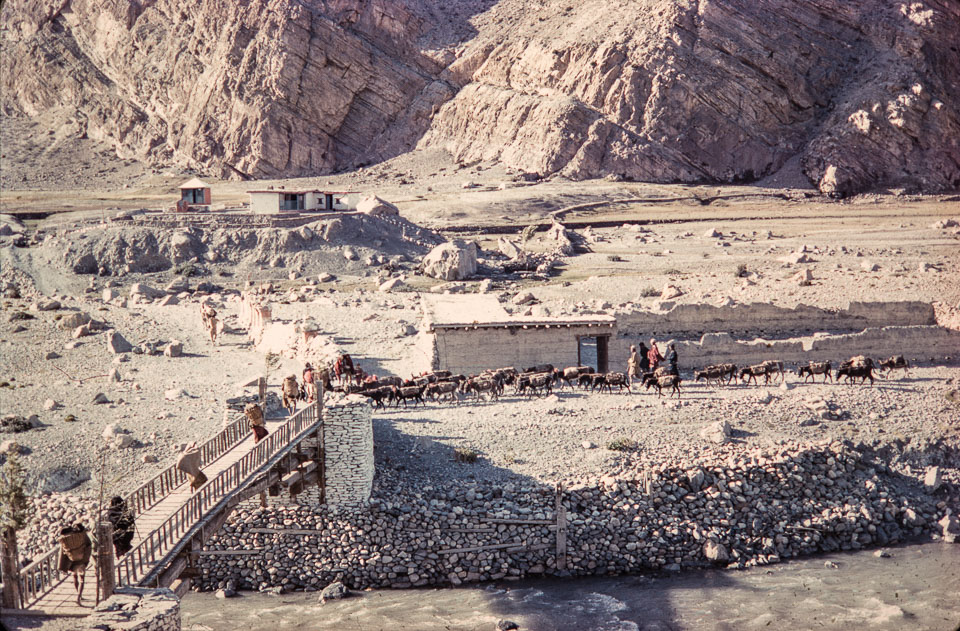 Dave Hohl - RoundsImaging Services