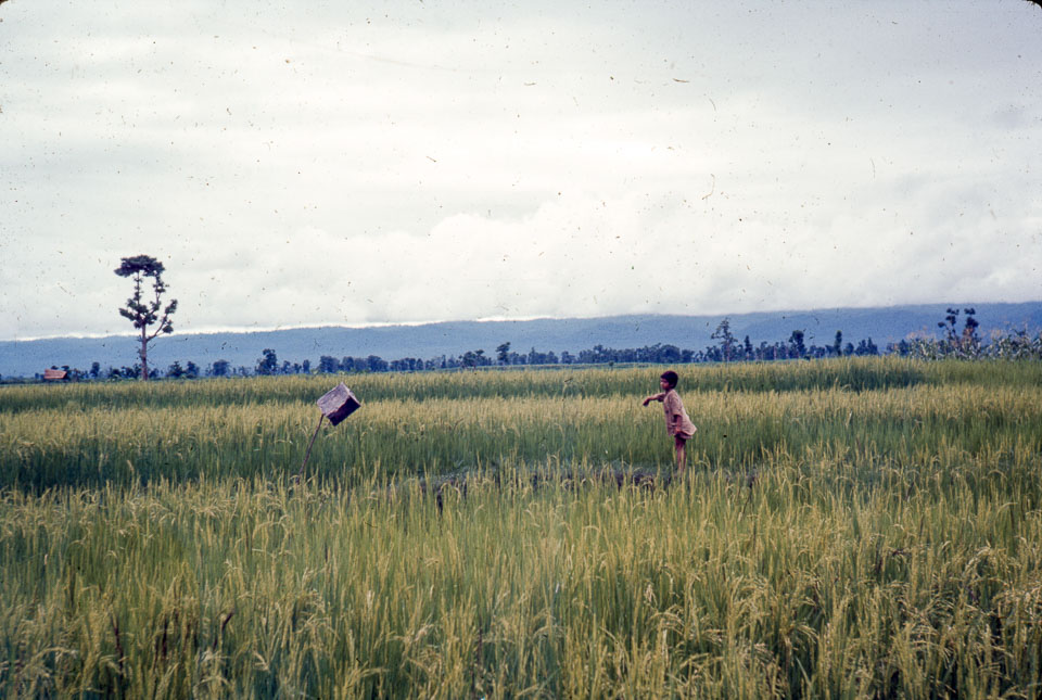 Earl Webb - RoundsImaging Services