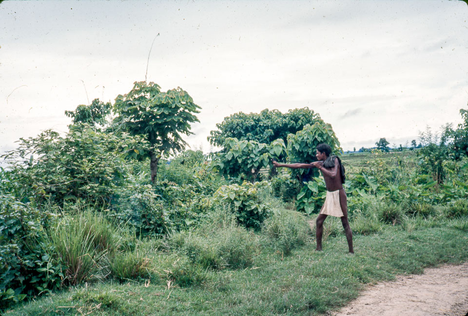 Earl Webb - RoundsImaging Services