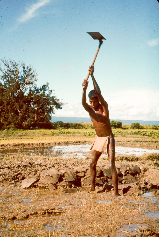 Earl Webb - RoundsImaging Services