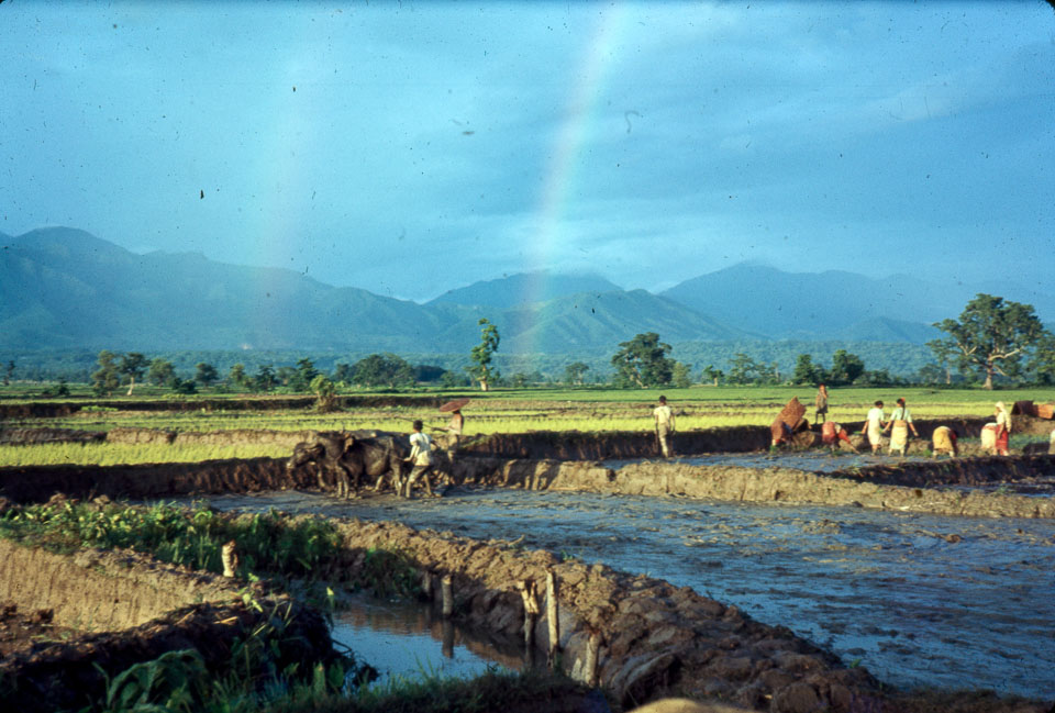 Earl Webb - RoundsImaging Services