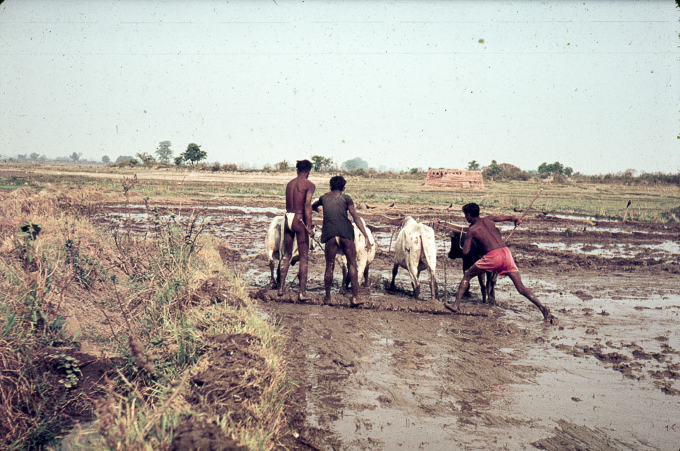 Earl Webb - RoundsImaging Services