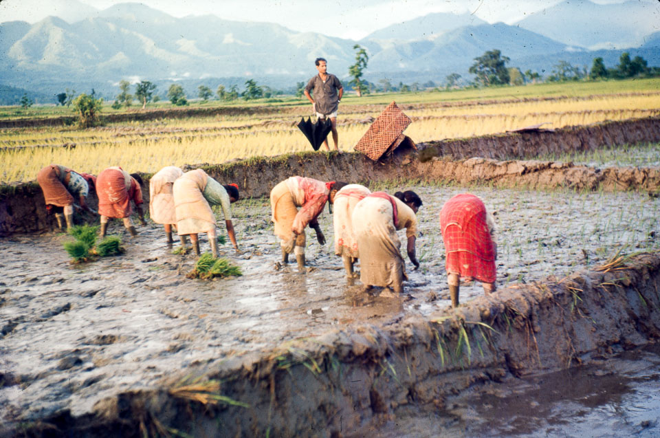 Earl Webb - RoundsImaging Services