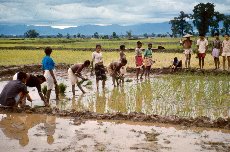 Earl Webb - RoundsImaging Services