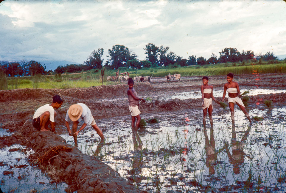 Earl Webb - RoundsImaging Services