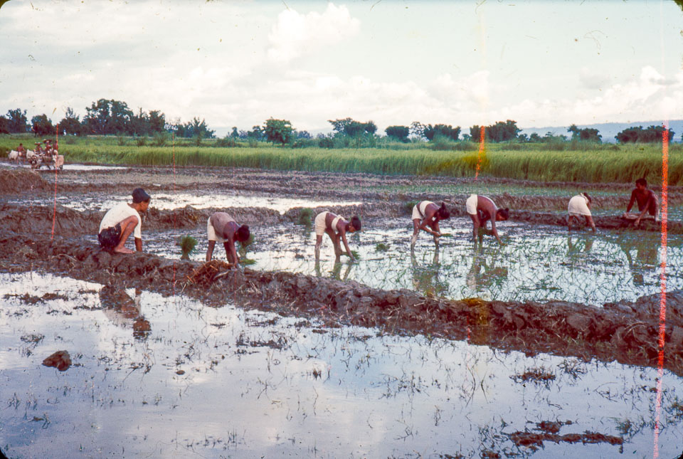 Earl Webb - RoundsImaging Services