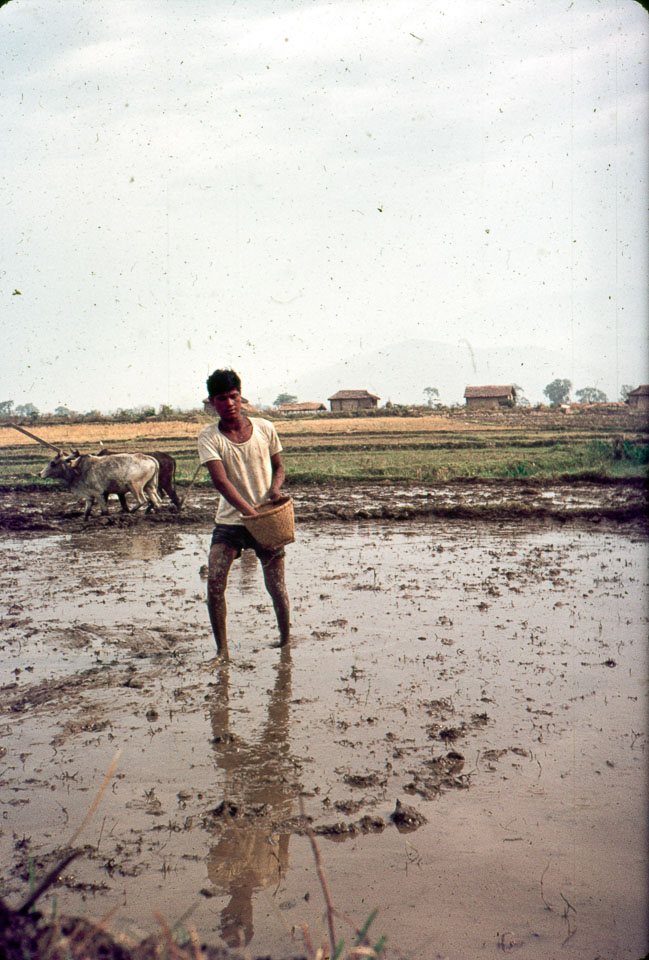 Earl Webb - RoundsImaging Services