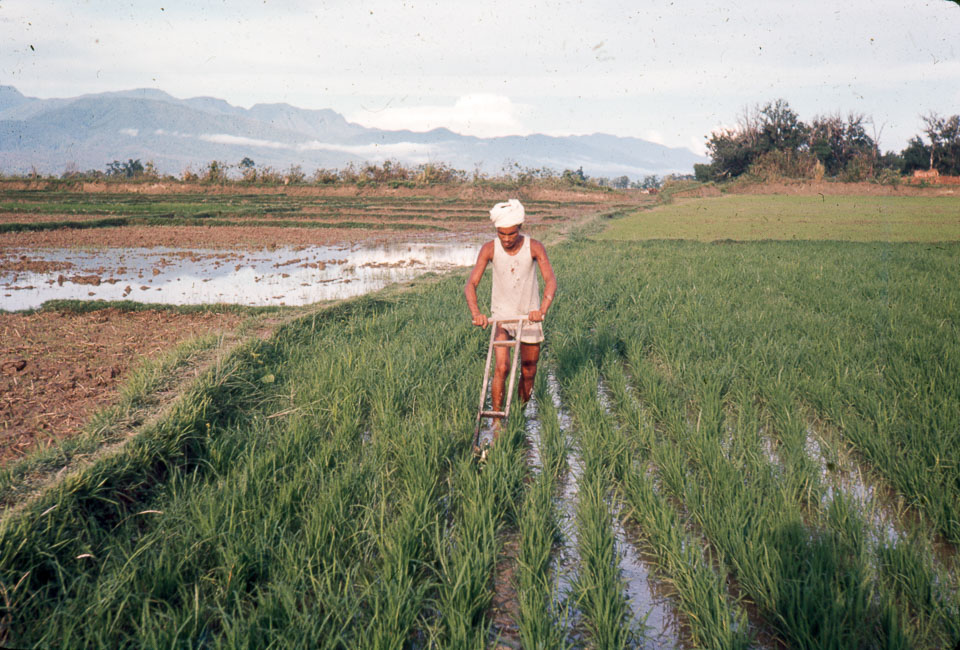 Earl Webb - RoundsImaging Services