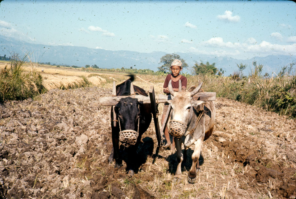 Earl Webb - RoundsImaging Services