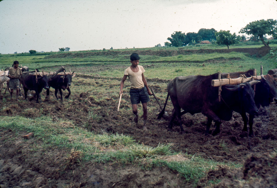 Earl Webb - RoundsImaging Services