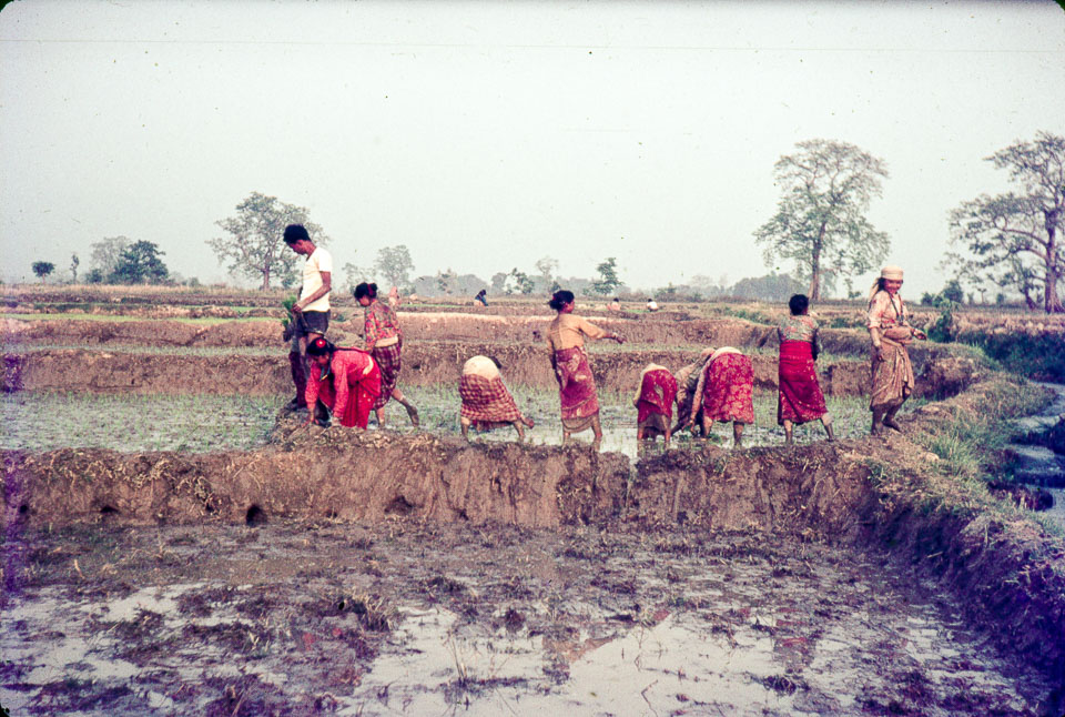 Earl Webb - RoundsImaging Services