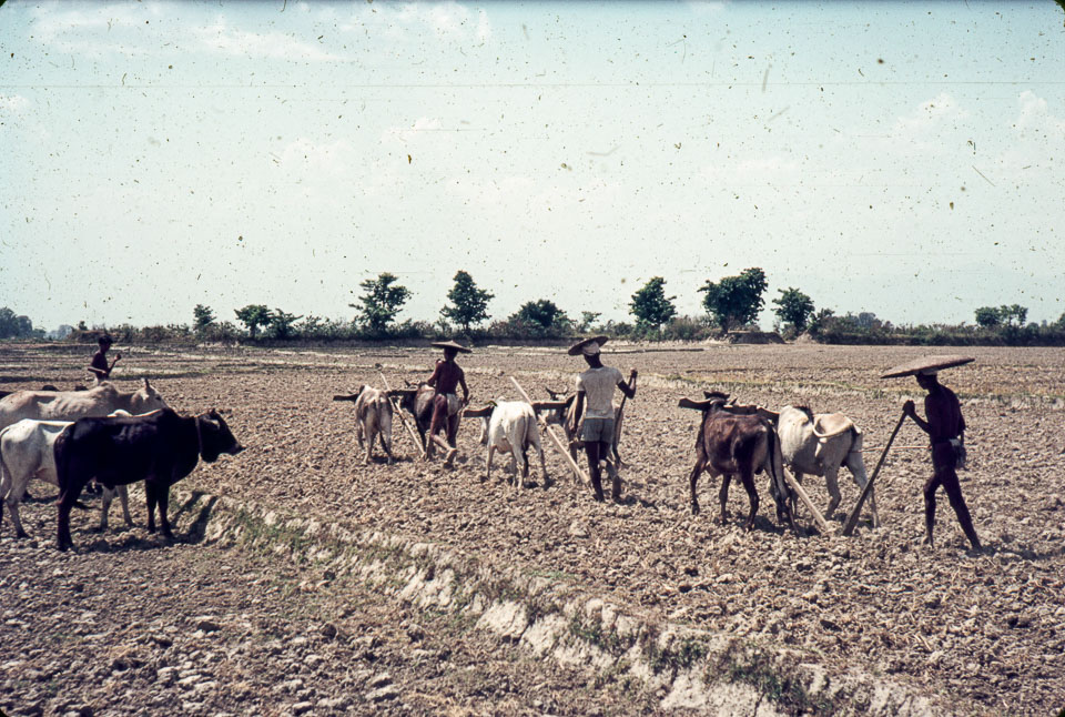 Earl Webb - RoundsImaging Services