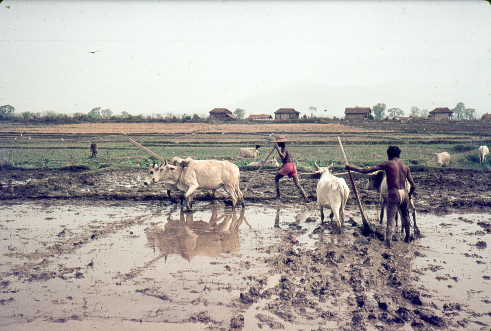 Earl Webb - RoundsImaging Services