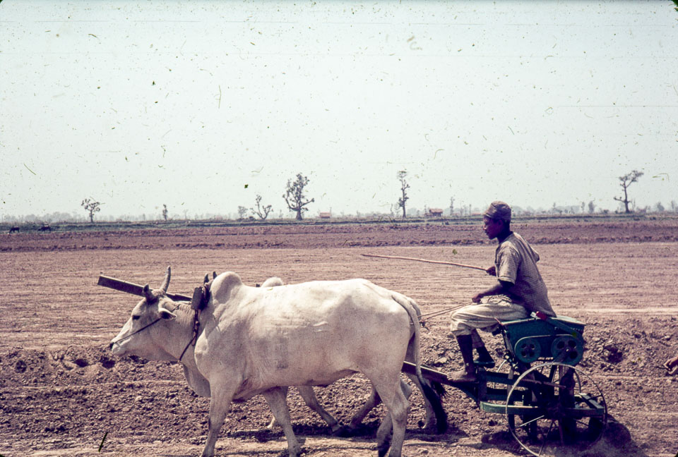 Earl Webb - RoundsImaging Services