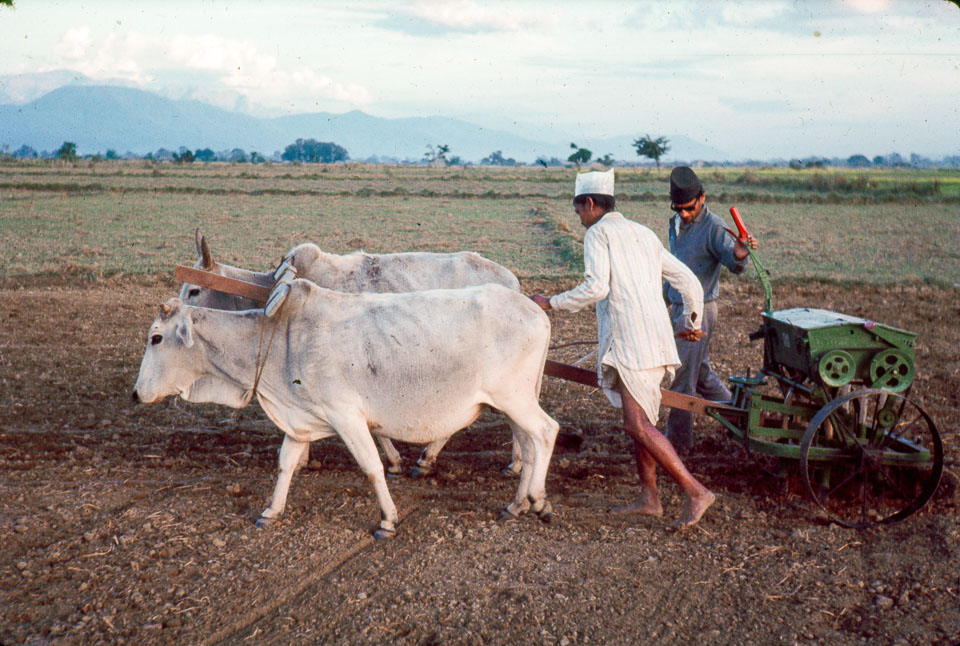 Earl Webb - RoundsImaging Services