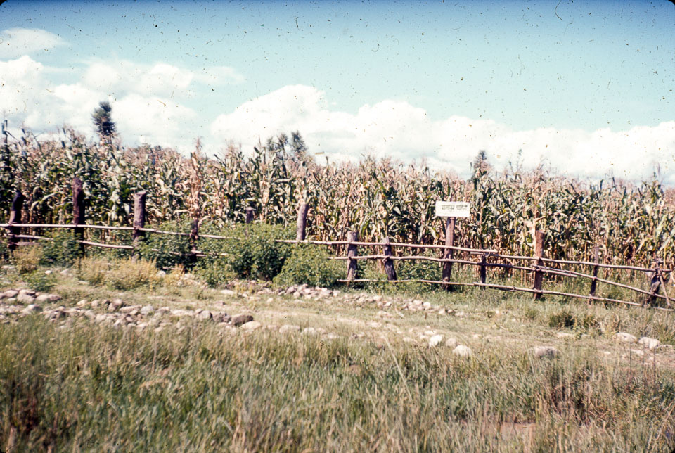 Earl Webb - RoundsImaging Services