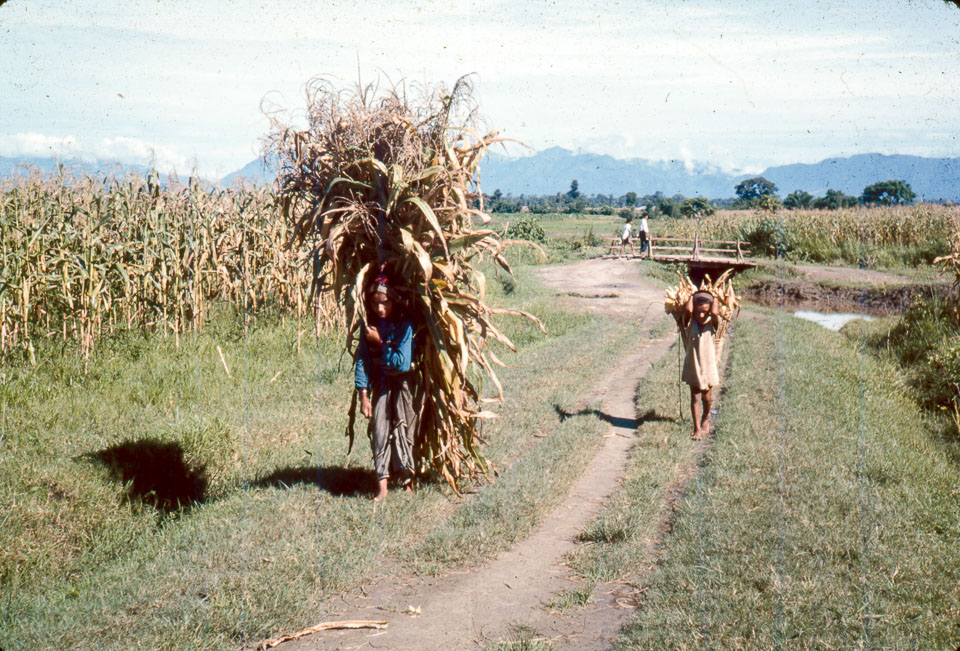 Earl Webb - RoundsImaging Services