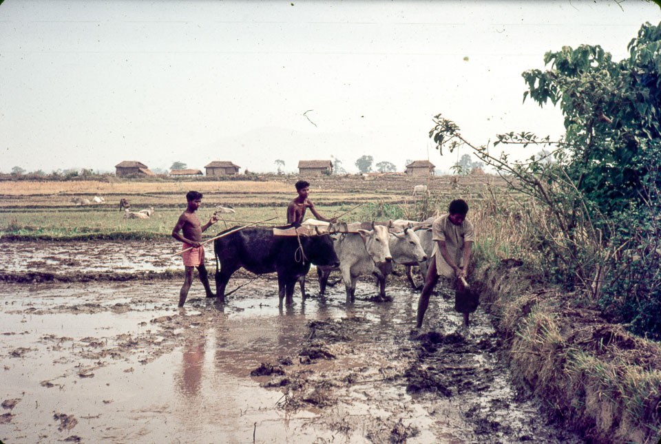Earl Webb - RoundsImaging Services