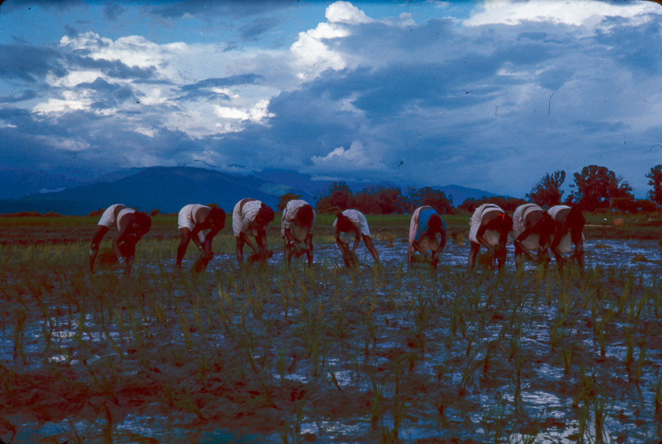 Earl Webb - RoundsImaging Services