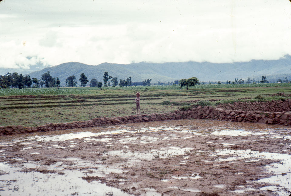 Earl Webb - RoundsImaging Services