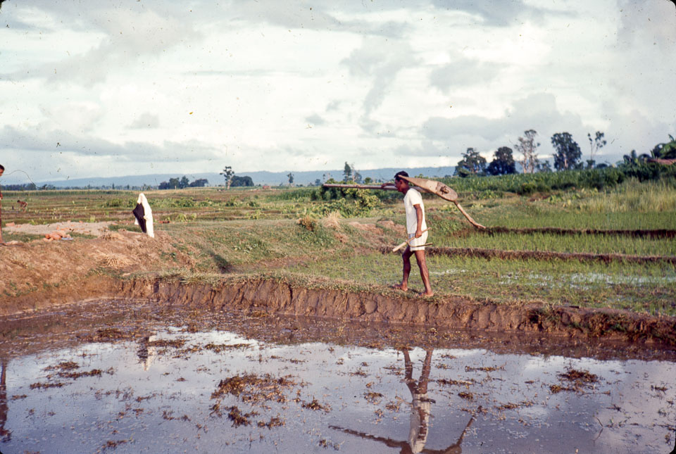 Earl Webb - RoundsImaging Services