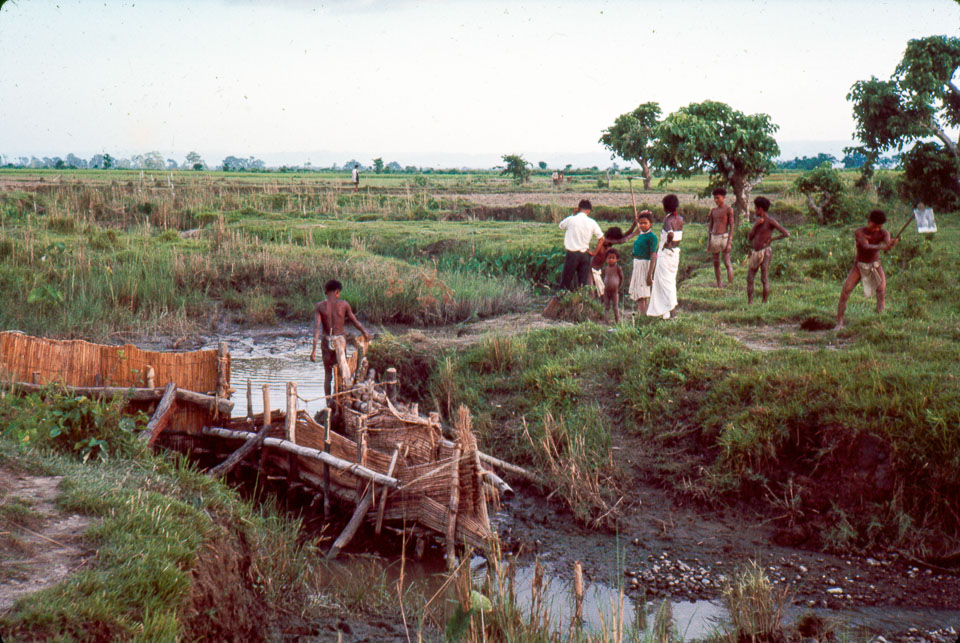 Earl Webb - RoundsImaging Services