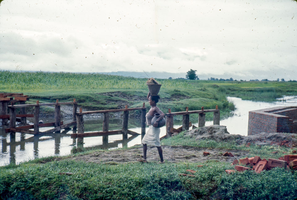 Earl Webb - RoundsImaging Services