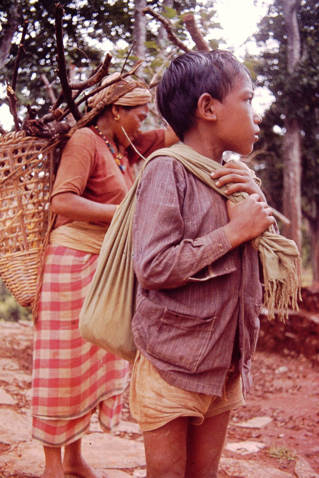 Jan Mascall - RoundsImaging Services